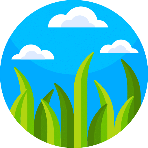 +60 TOEFL Writing Task 1 Free Sample Questions [with Audio]