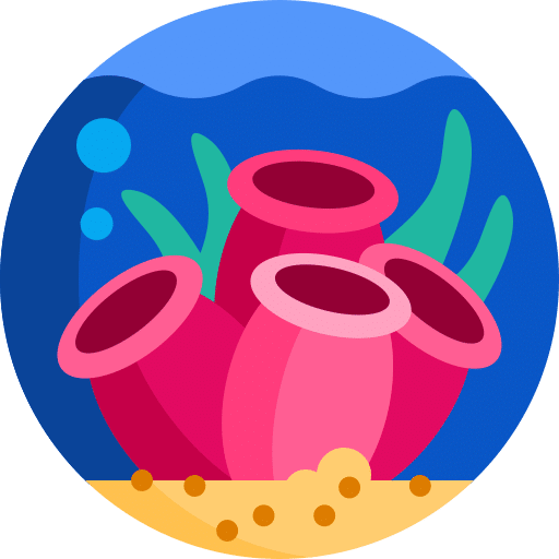 +60 TOEFL Writing Task 1 Free Sample Questions [with Audio]