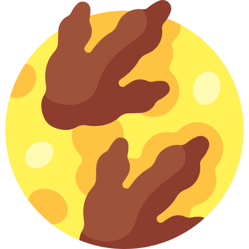 TOEFL Writing Task 1 - Free Practice Test #042 [With Audio]