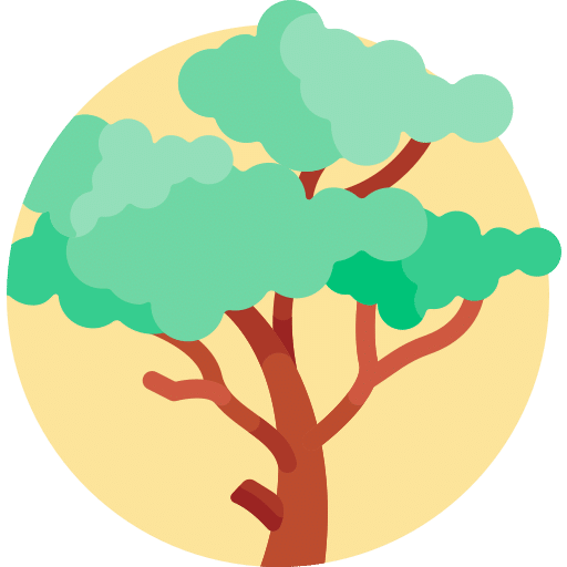 TOEFL Writing Task 1 - Free Practice Test #042 [With Audio]