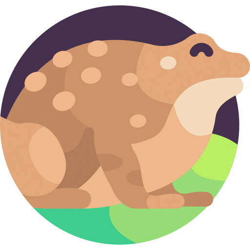 TOEFL Writing Task 1 - Free Practice Test #051 [With Audio]