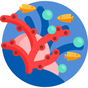 Free Sample Questions For TOEFL Speaking Task 3